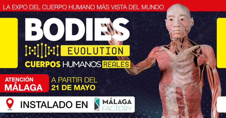 Visitas a la exposición Málaga Bodies Evolution | Más Málaga